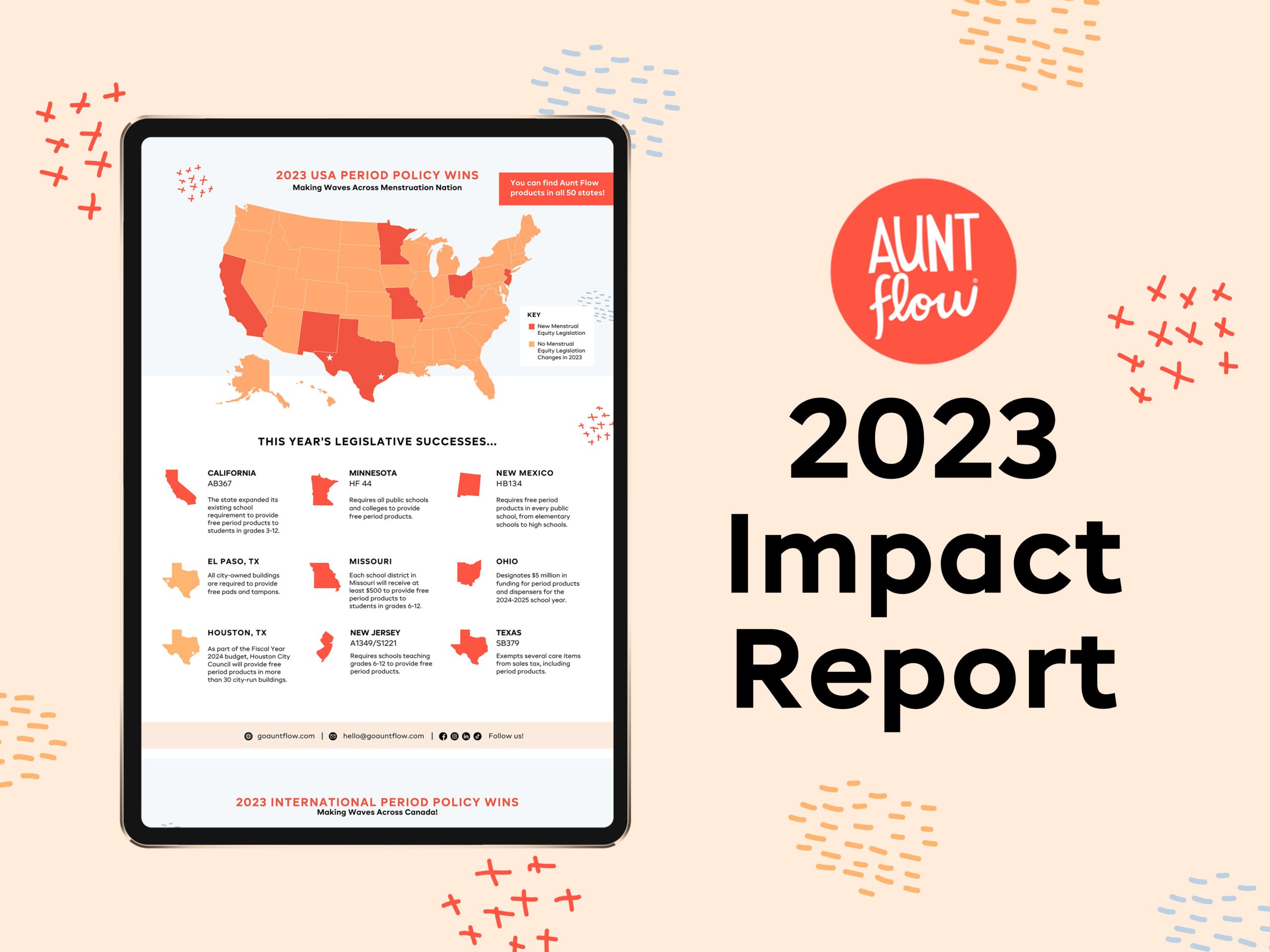 Aunt Flow's Impact in 2023 | Aunt Flow